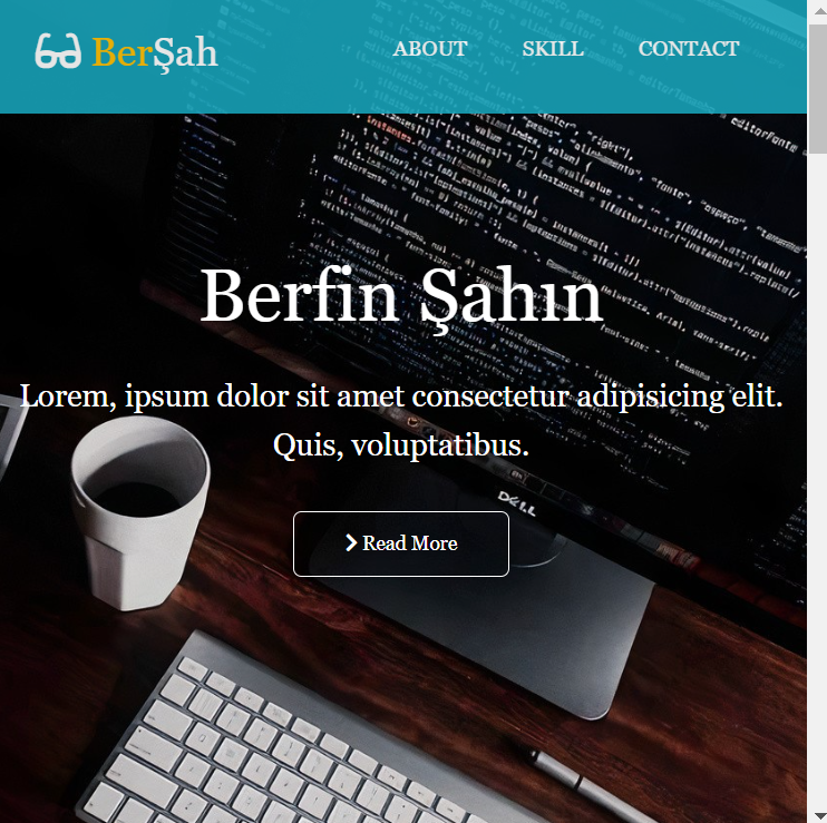 GitHub - berfinsahin/berfin-sahin-cv