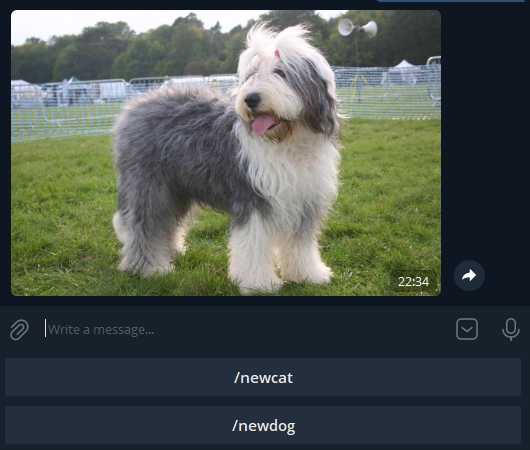 GitHub - dnkngh/KittyBot: Telegram-bot