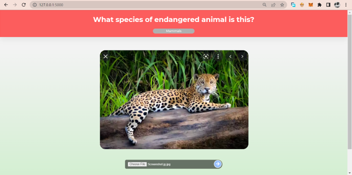 GitHub - alvinsengkey/endangered-animal-species-recognition: An Endangered Animal Species ...