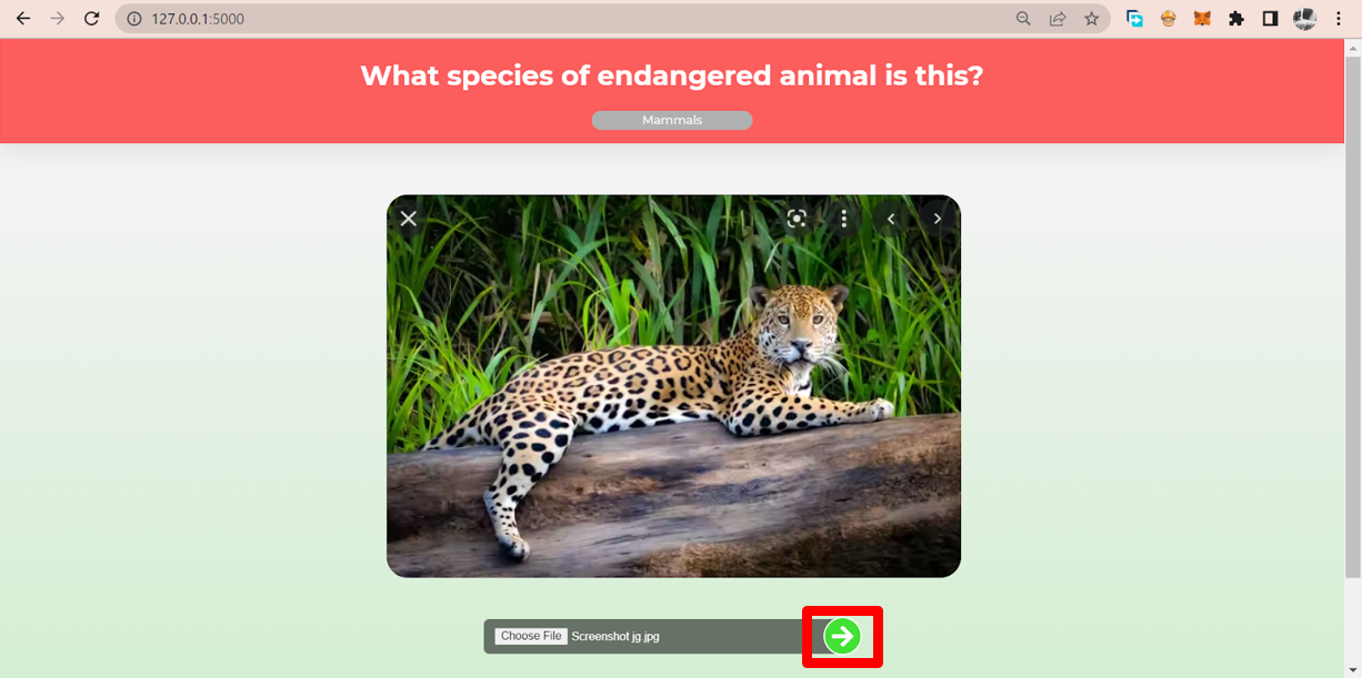 GitHub - alvinsengkey/endangered-animal-species-recognition: An ...
