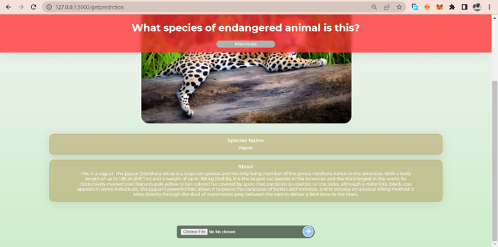 GitHub - alvinsengkey/endangered-animal-species-recognition: An ...