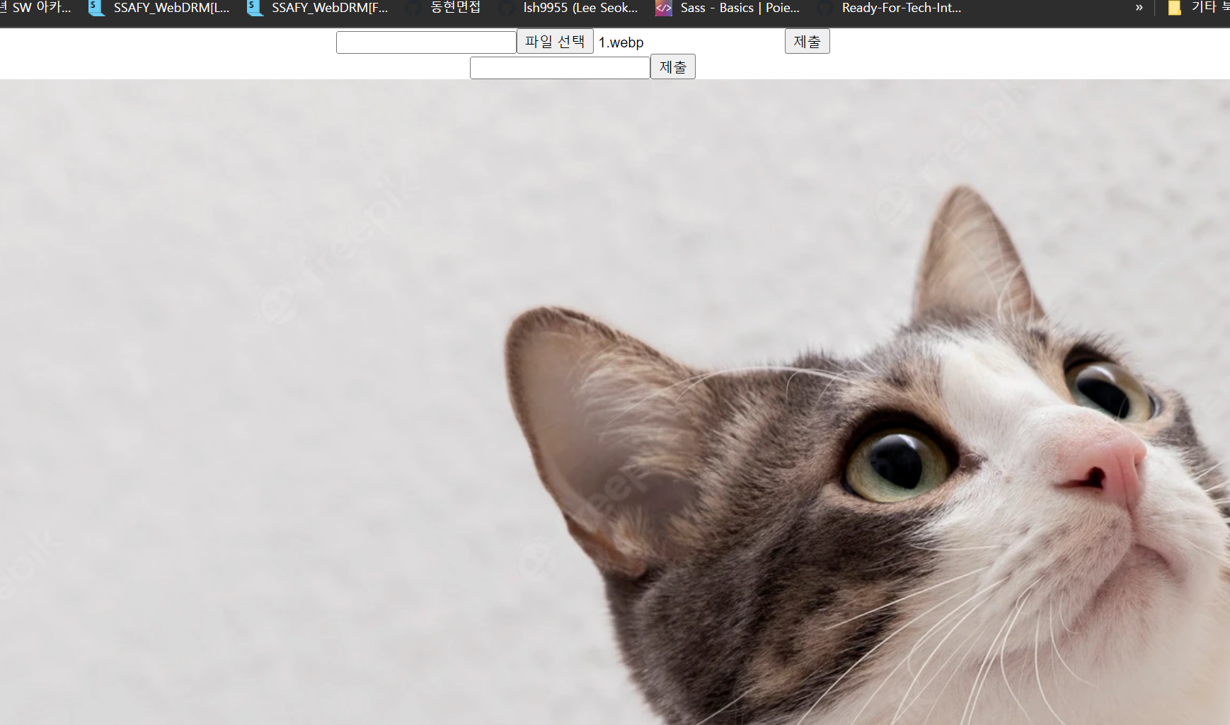 Github Lsh9955 Reactcrud