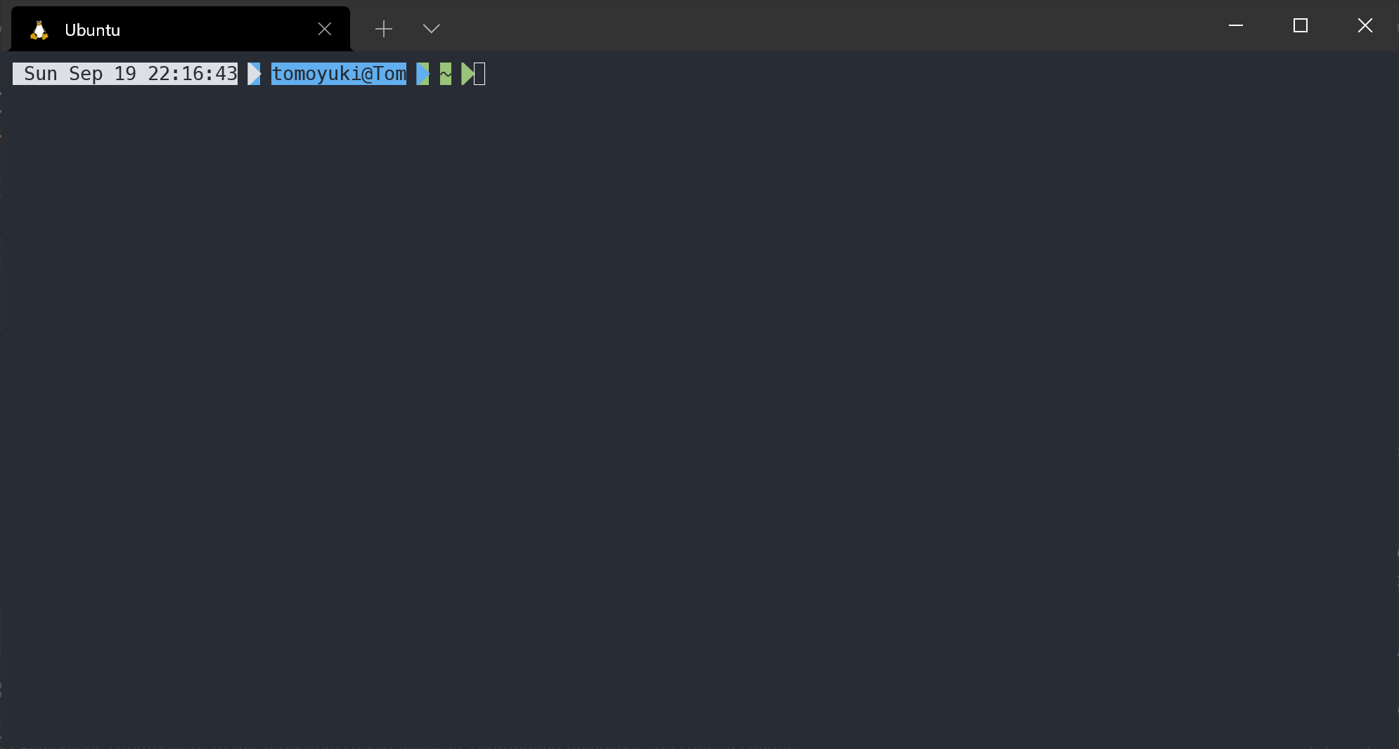 Display Error · Issue 11275 · Microsoftterminal · Github 