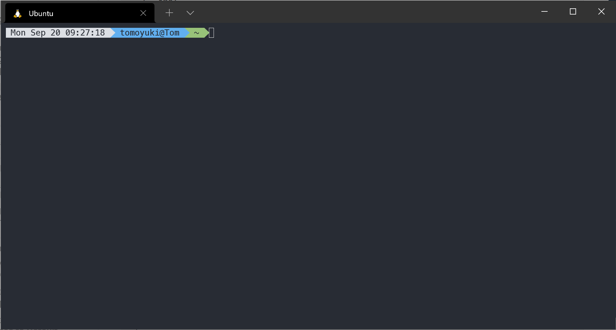 Display error · Issue #11275 · microsoft/terminal · GitHub