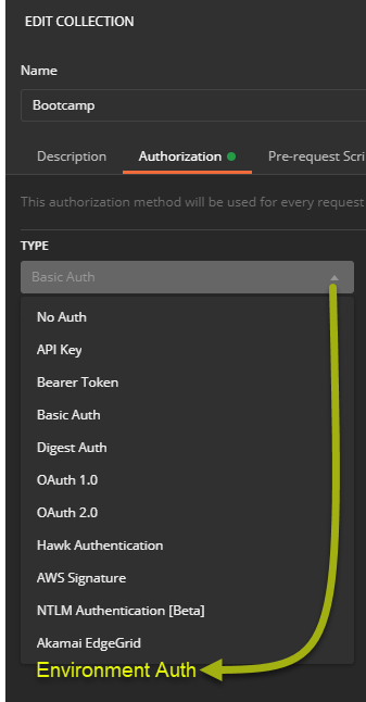 Feature Request: Authentication type in environment · Issue #9169 ...
