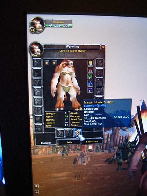 TODO: Rework Grom'gol basecamp · Issue #1309 · The-Alpha-Project/alpha-core · GitHub