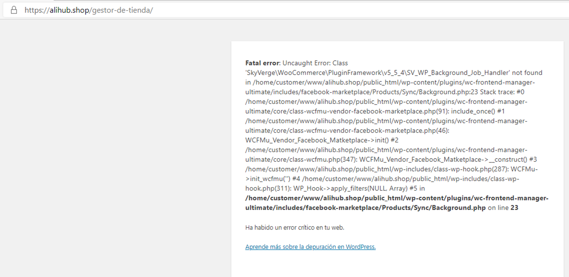 Fatal error uncaght error · Issue #1730 · facebook/facebook-for-woocommerce · GitHub