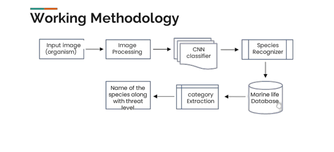 GitHub - Atharva1802/Sea-cucumber: Project Seagull is our solution for the SIH 2022, to the ...