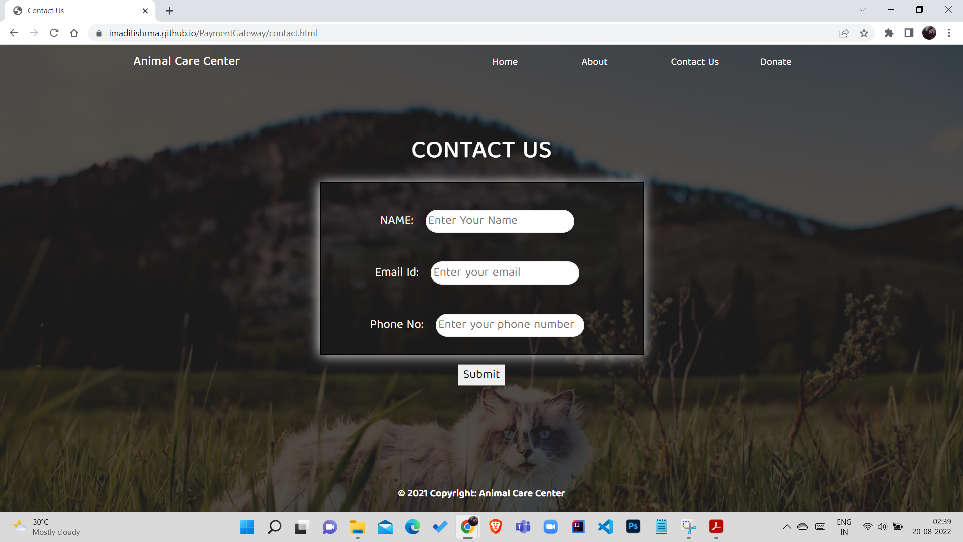 GitHub - imaditishrma/Payment-Gateway: Simple frontend payment gateway ...