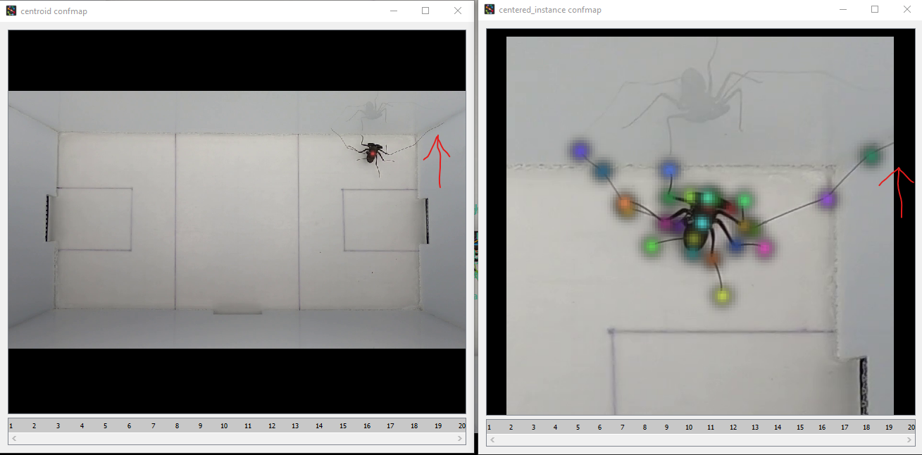 Top-down centered instance training window forces crop size to 512 pixels or less which ...