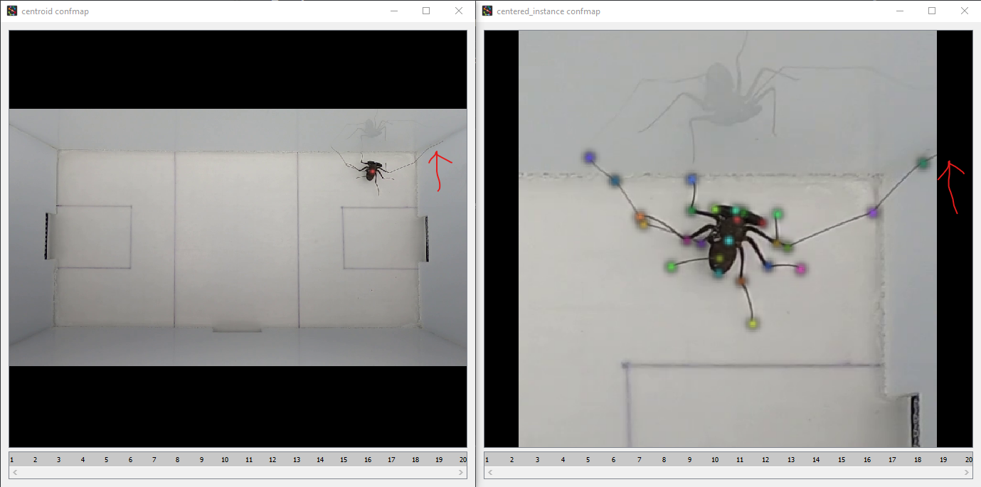 Top-down centered instance training window forces crop size to 512 pixels or less which ...