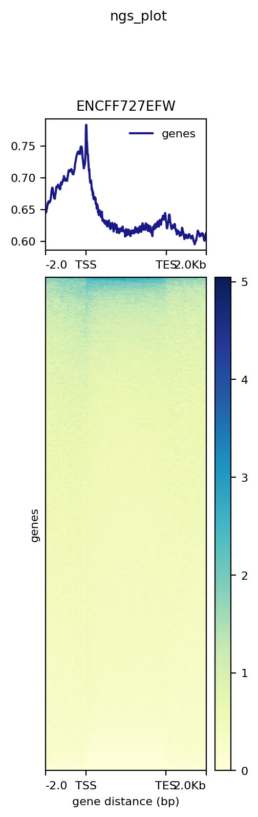 GitHub - dynataly/hse_hw2_chip
