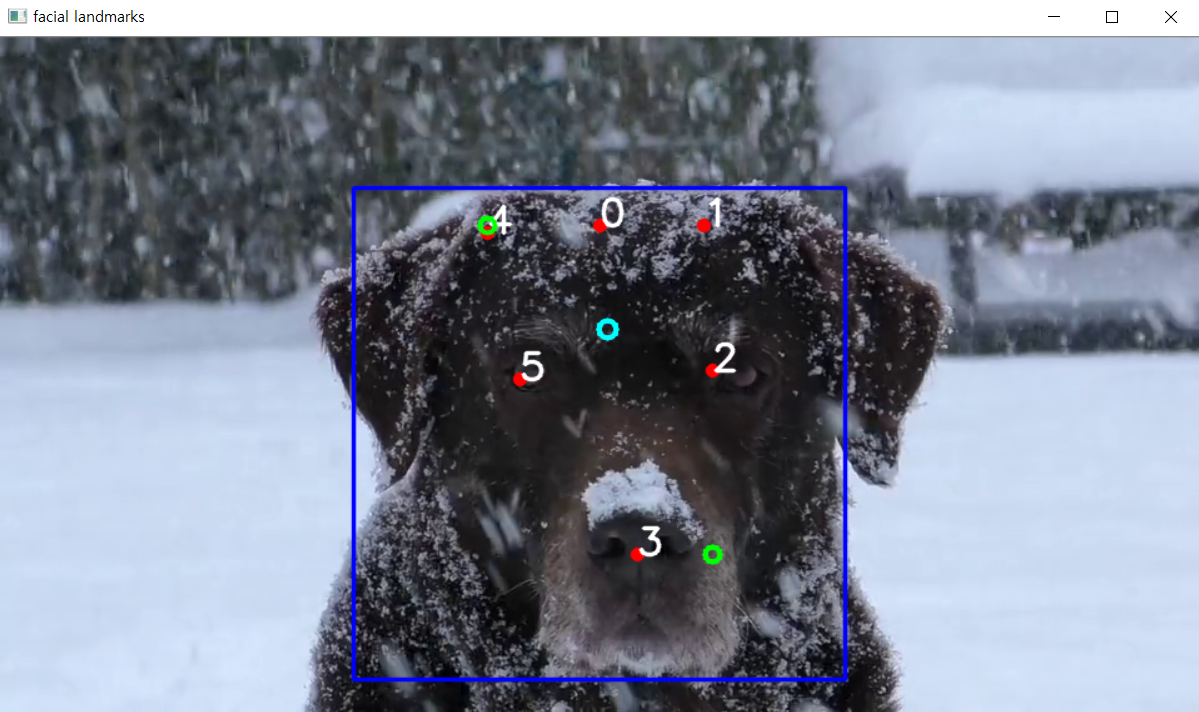 GitHub - kimlia545/aj_project: opencv decorate your puppy face