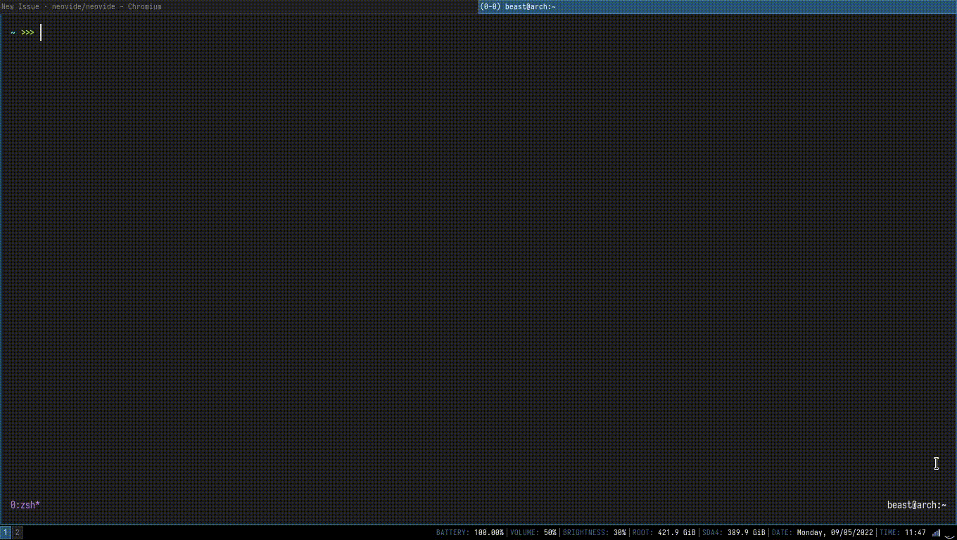 Neovide closes immediately after starting in arch linux · Issue #1307 · neovide/neovide · GitHub