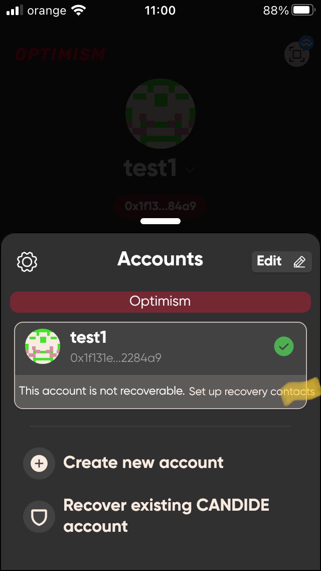 UI - small interface glitches · Issue #89 · candidelabs/candide-mobile ...