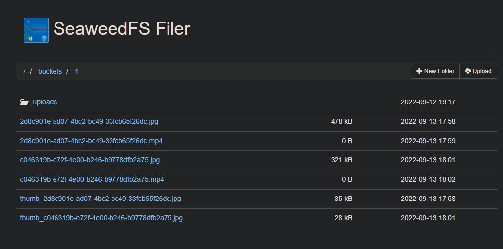 [Bug]S3 API Multipart Uploads with 0 Bytes · Issue #3660 · seaweedfs ...