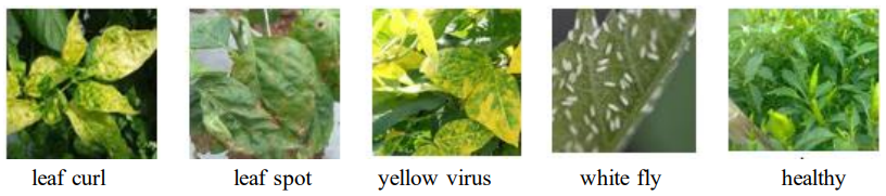 GitHub - Rifqiakmals12/AI-Project-Model-Convolutional-Neural-Network-for-Early-Detection-of ...