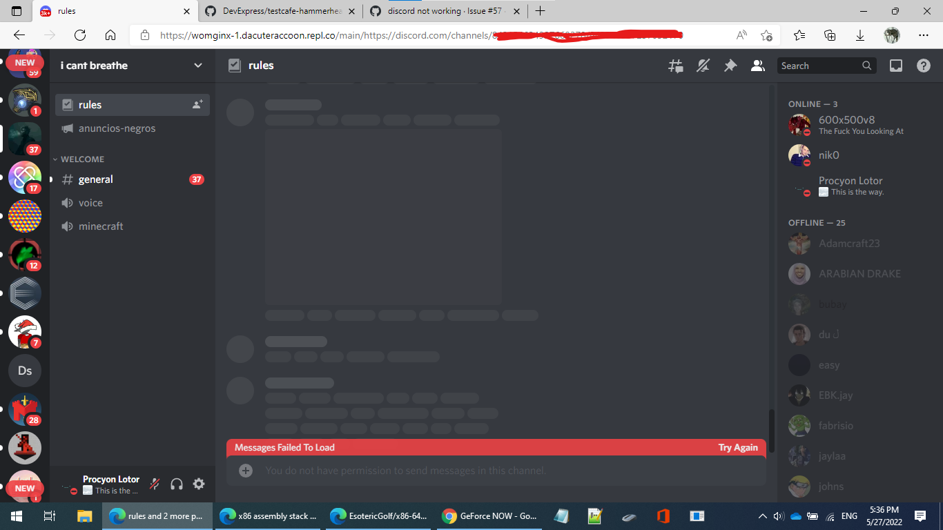 discord not working · Issue #57 · binary-person/womginx · GitHub