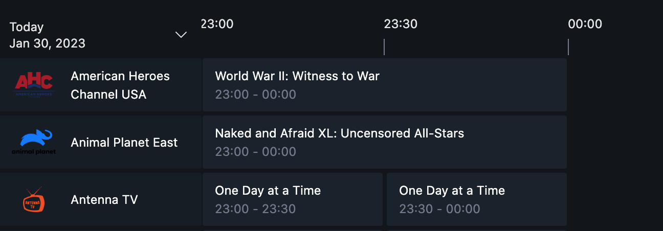 FLIXED TV GUIDE · Issue #1906 · iptv-org/epg · GitHub