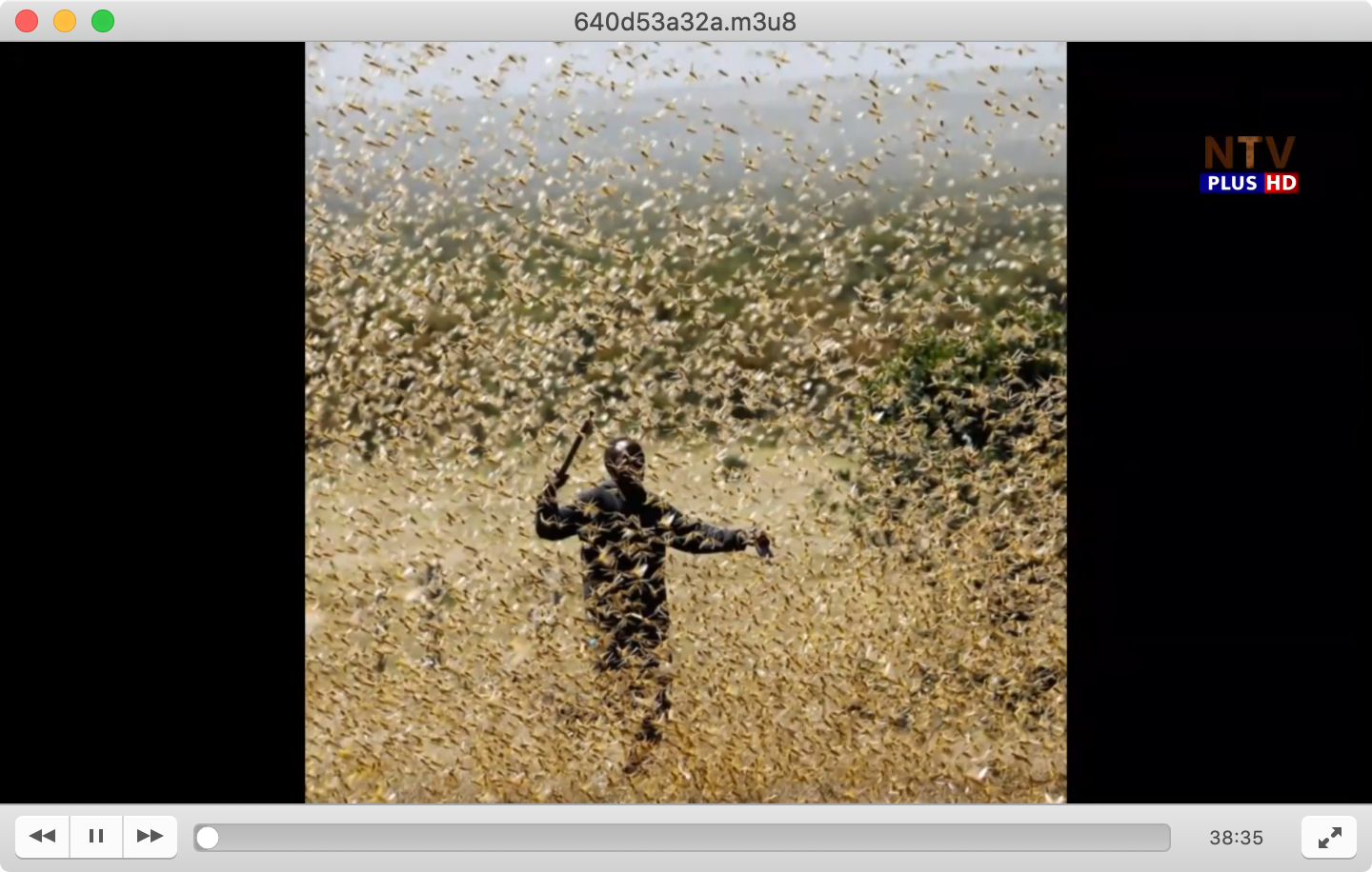 Nepali channels are not working · Issue #1502 · iptv-org/iptv · GitHub