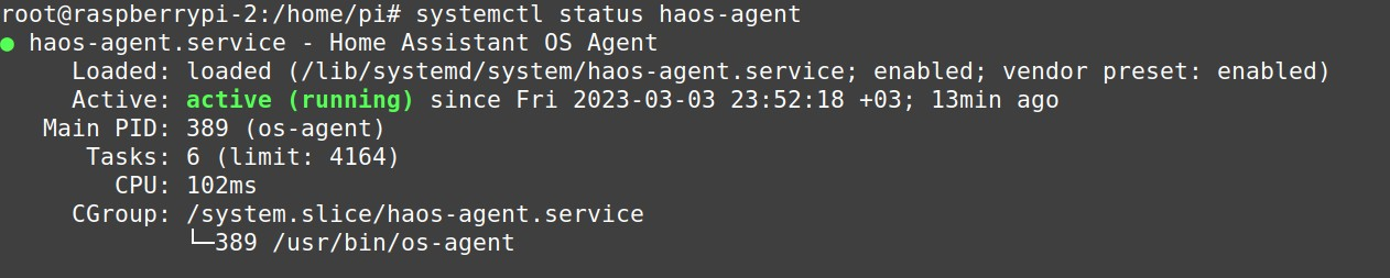 Bug Report: Installer doesn't see os-agent · Issue #279 · home-assistant/supervised-installer ...