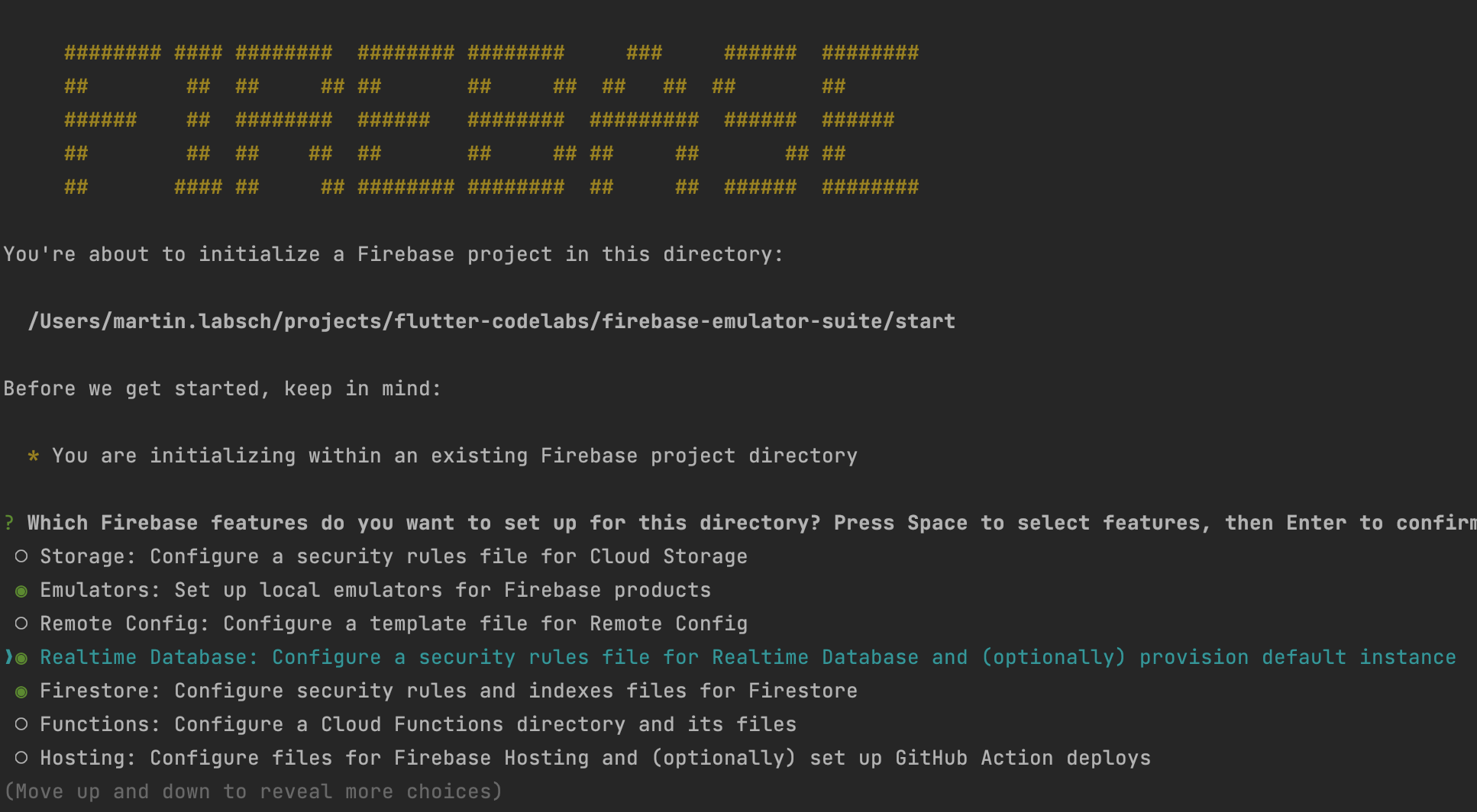 The Realtime Database Emulator cannot be used as expected · Issue #5470 ... The Realtime Database Emulator cannot be used as expected · Issue #5470 ...
