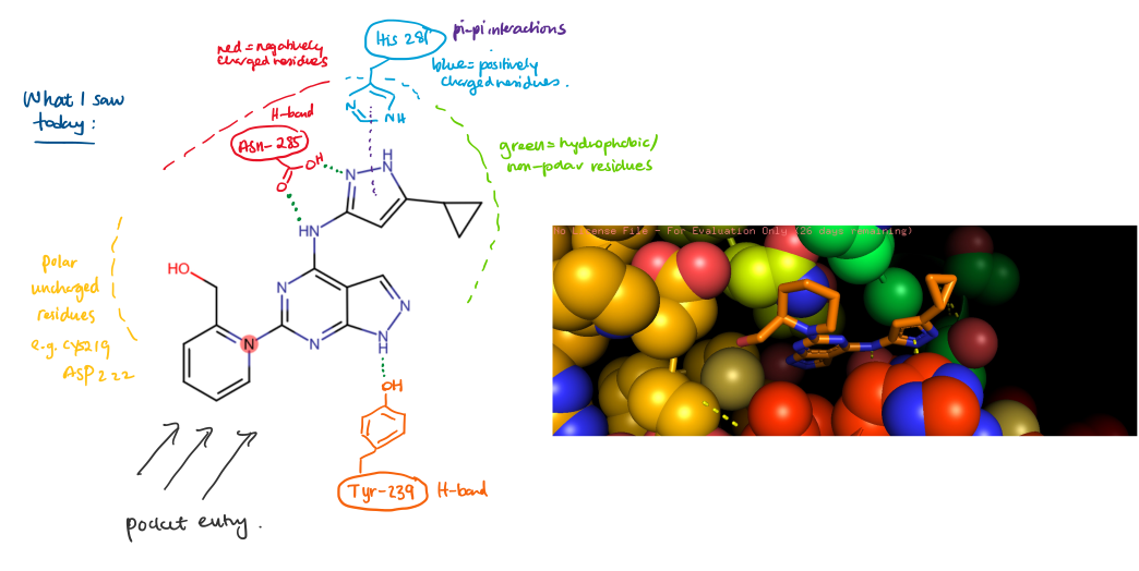 Producing A 2d Protein Ligand Interaction Map · Issue 30