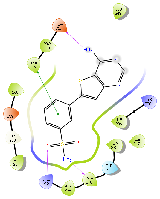 Producing a 2D protein-ligand interaction map · Issue #30 ...