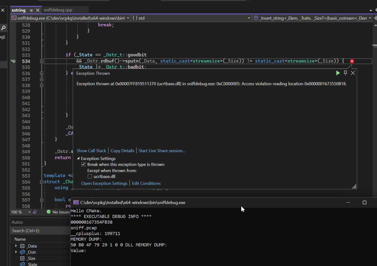[libtins] Basic example with libtins FileSniffer fails to create constructor with the string ...