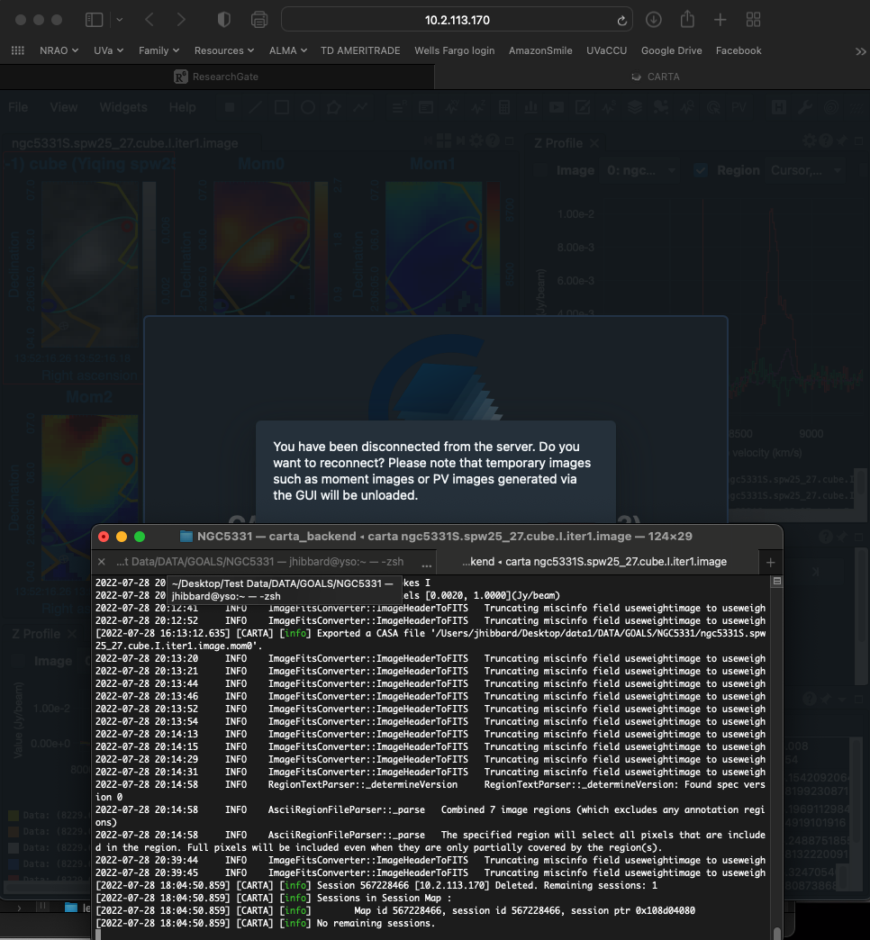 CARTA sometimes deletes session and restarts in default view (losing ...