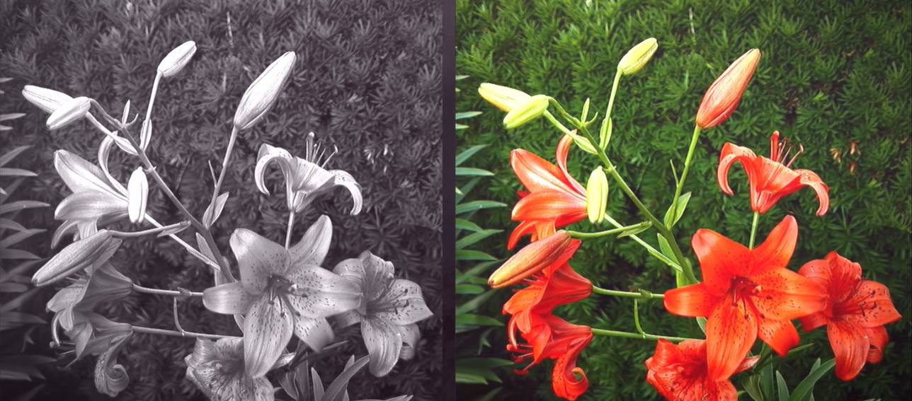 GitHub - SahikaErcan/JPEG-Image-Compression: JPEG Image Compression