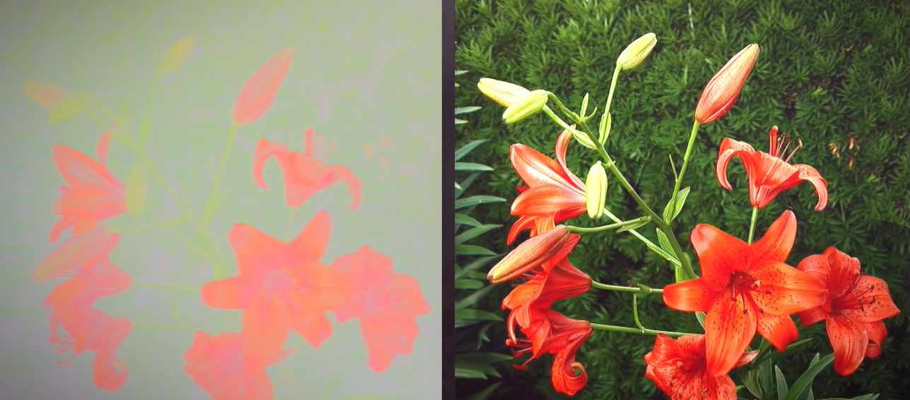 GitHub - SahikaErcan/JPEG-Image-Compression: JPEG Image Compression