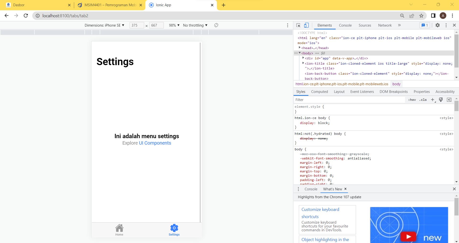 GitHub - cerdasbersamadamelia/Tugas-2-Tabs-Layout-and-Warning-Button: Pemrograman Mobile