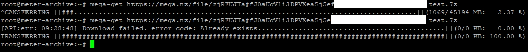 Download Failed - Already Exists · Issue #648 · meganz/MEGAcmd · GitHub