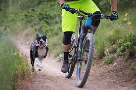 issue with multi objects detection (using ssd_resnet50_v1_fpn_640x640 ...