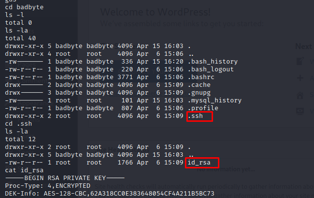 GitHub - m3dium/coffee-addicts-1-699