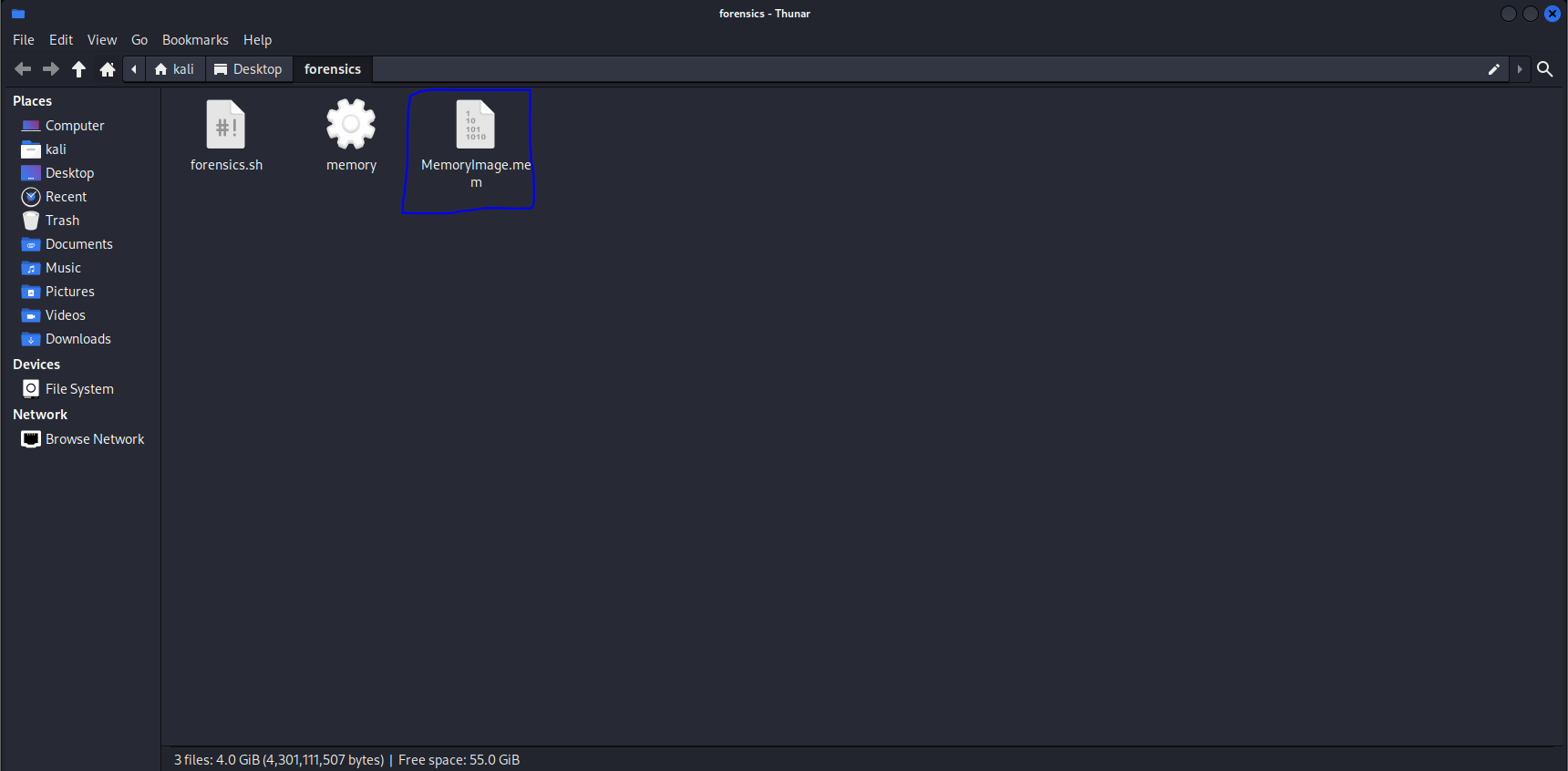 GitHub - 0xkr3pt0n/AutoLinuxF: automation script for Linux live acquisition