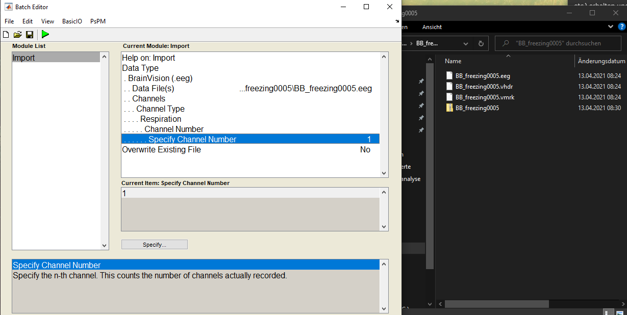 Failure to import BrainVision data · Issue #209 · bachlab/PsPM · GitHub