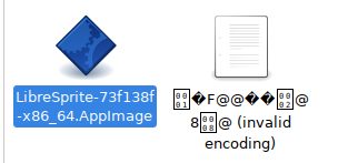 When I execute the appImage file an empty folder named (invalid encoding) is created and the ...
