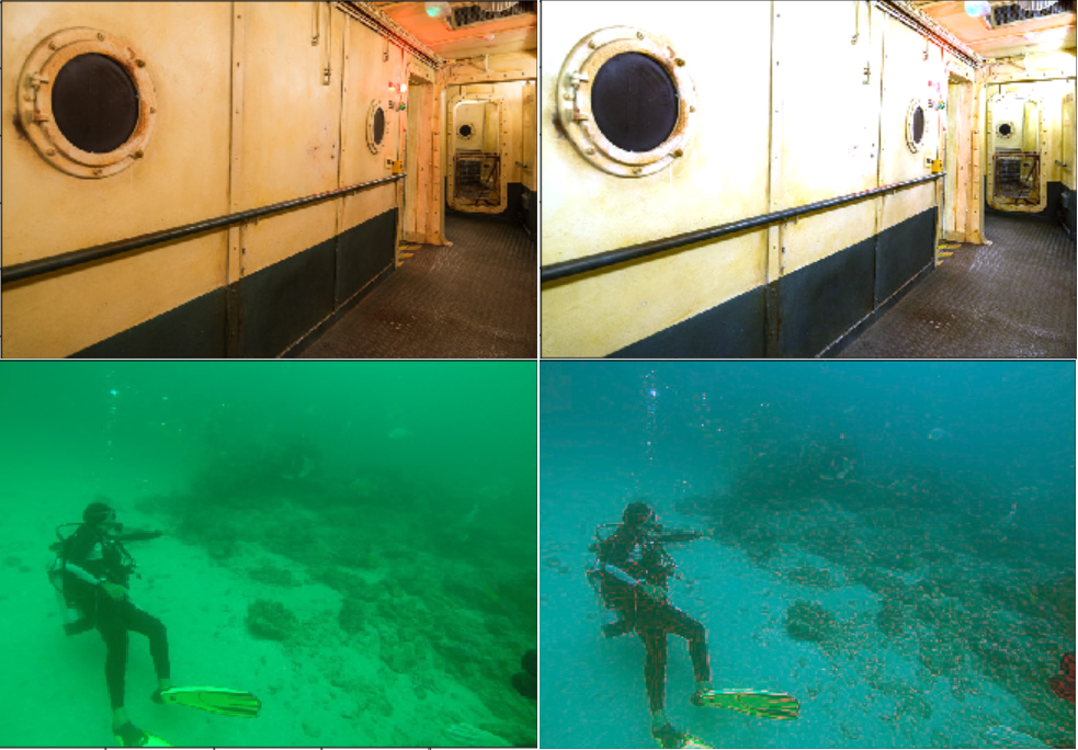 GitHub - DoriandPetit/UnderwaterImageProcessing: Color Correction algorithms to process ...