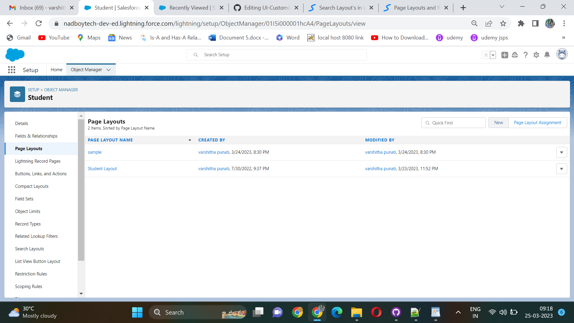 GitHub - varshitha-punati/UI-Customization-Salesforce-Admin