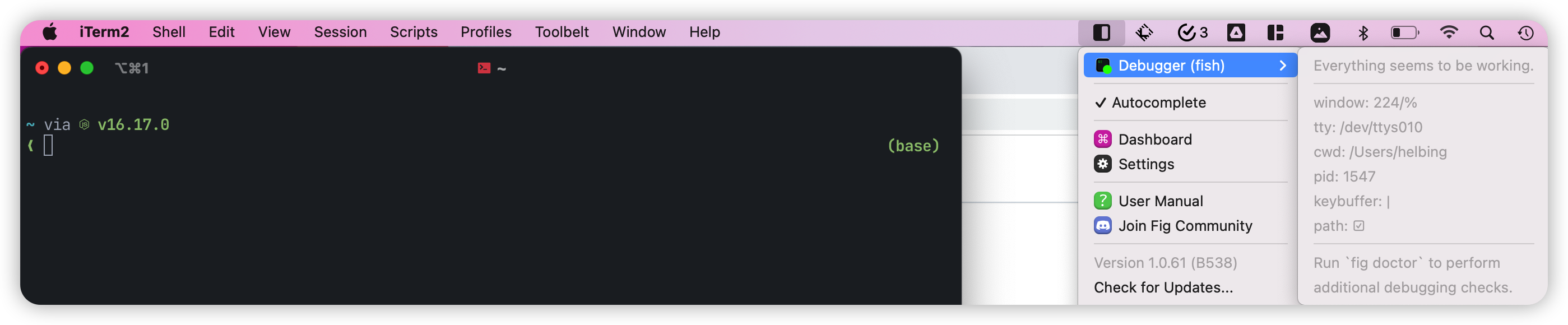 Inserting Text Into The Terminal Will Fail · Issue 1859 · Withfigfig · Github