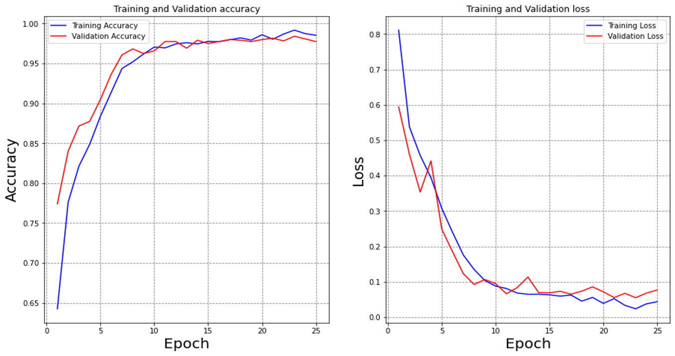 GitHub - OviSarkar62/Chest_Xray_Classification_Utilizing_CNN_with ...