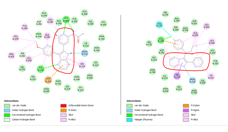 2D diagrams in Discovery studio 2021 · Issue #64 ...