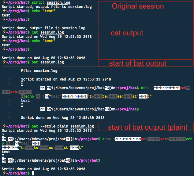 bat incorrectly displays session recorded with `script` · Issue #234 · sharkdp/bat · GitHub