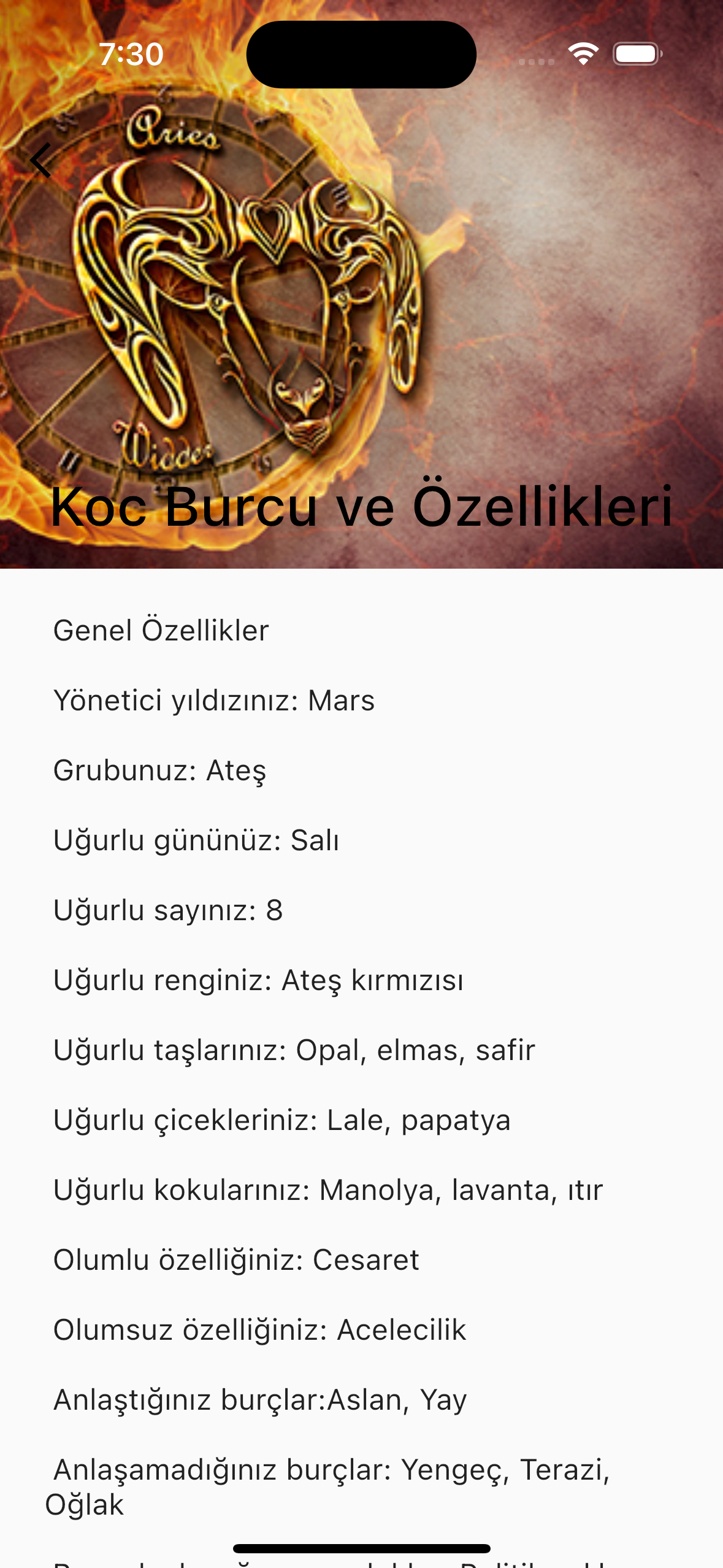 GitHub - yunusdtarla/horoscope_guide