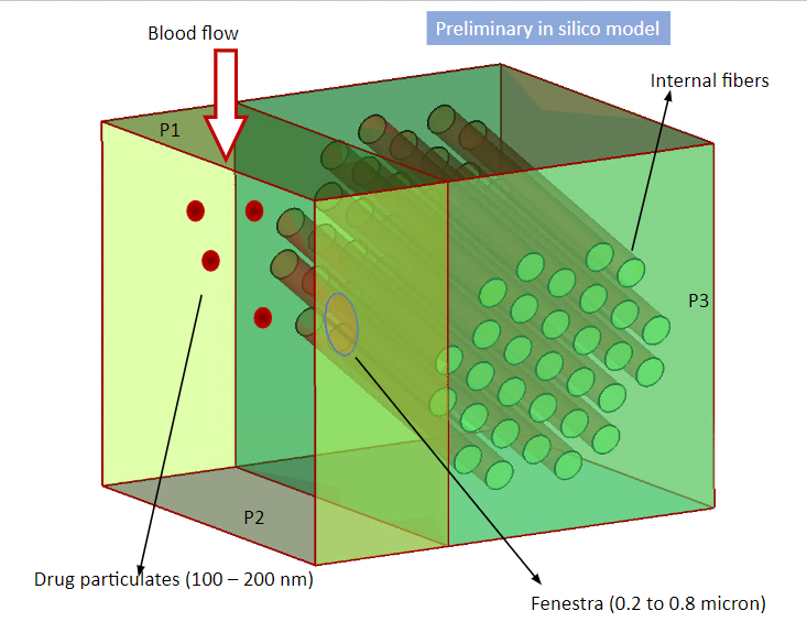 GitHub - nilot-pal/Blood-flow-into-tumor: Tracking Multiphase blood flow into a tumor