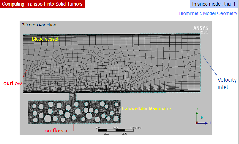 GitHub - nilot-pal/Blood-flow-into-tumor: Tracking Multiphase blood ...