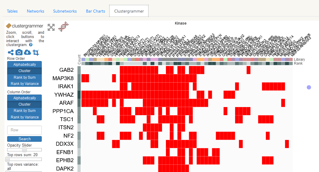 Clustergrammer slider isn't functional in Firefox · Issue #67 · MaayanLab/KEA3web · GitHub