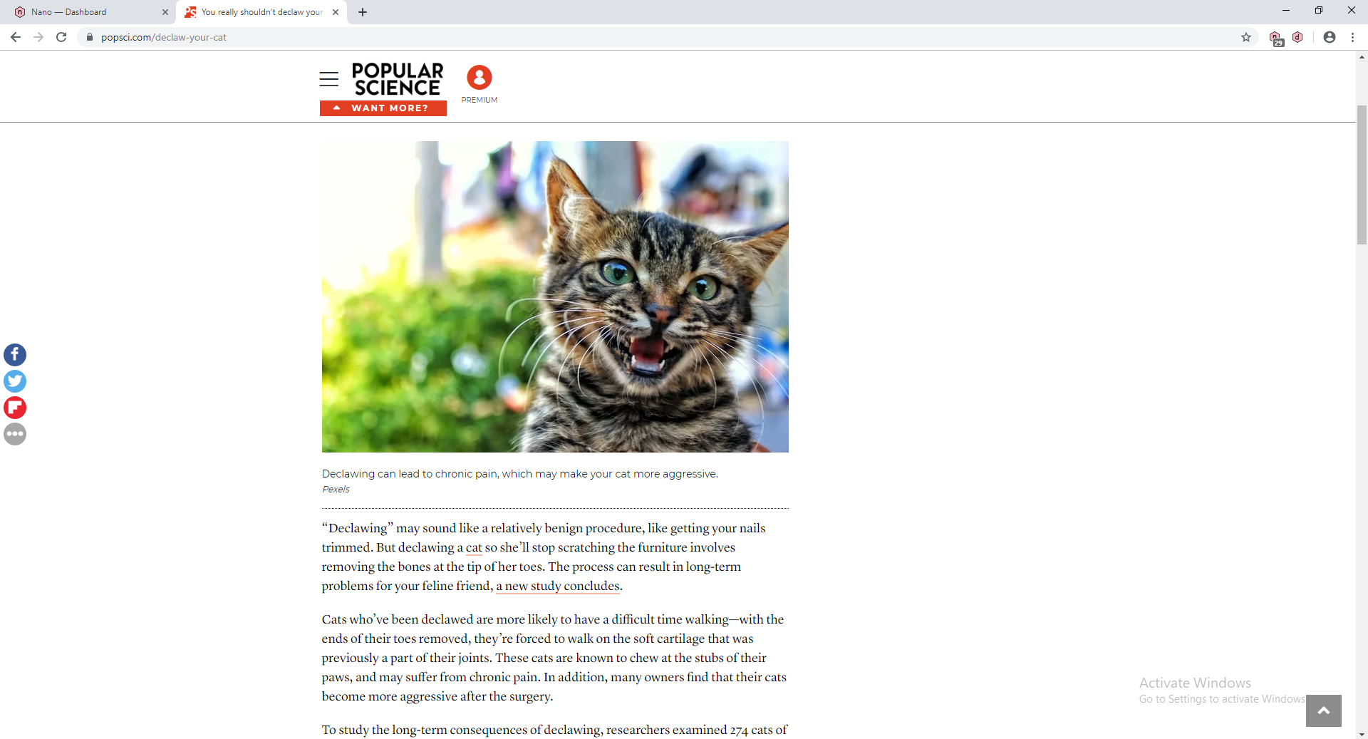 popsci.com · Issue #731 · NanoMeow/QuickReports · GitHub